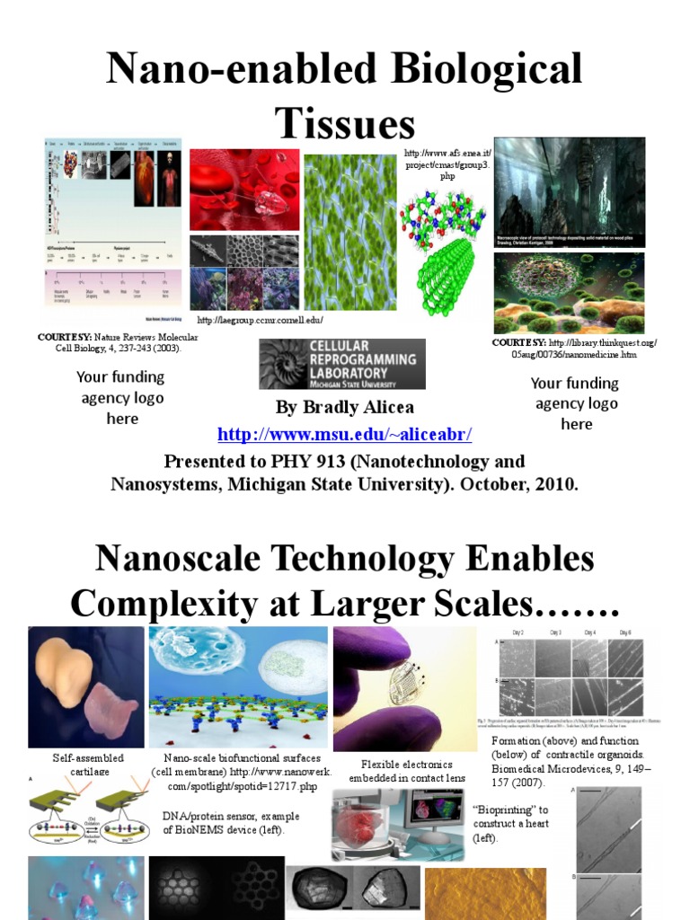 Nano-Enabled Biological Tissues | PDF | Nanotechnology | Tissue Engineering