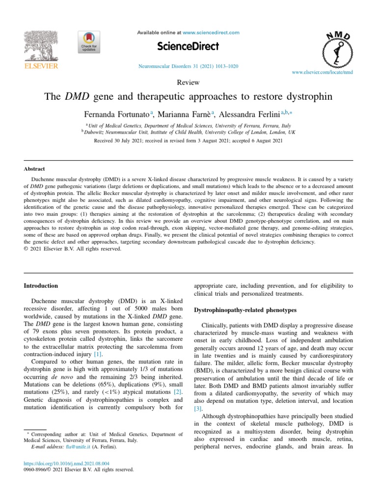 The DMD Gene and Therapeutic Approaches To Restore - 2021 ...