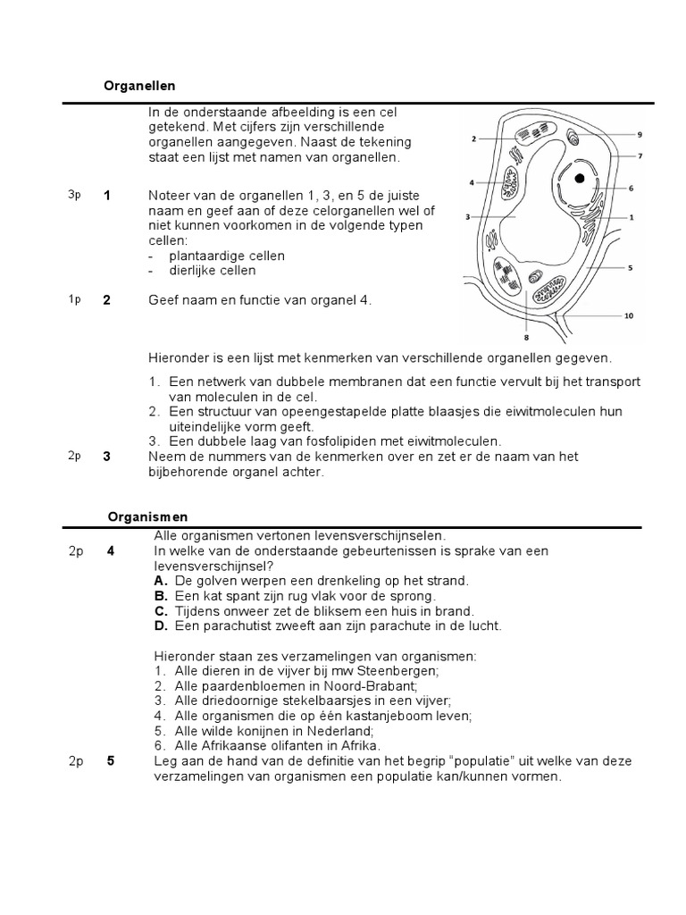 Oefentoets Thema 1 Biologie Voor Jou Vwo 4 | PDF