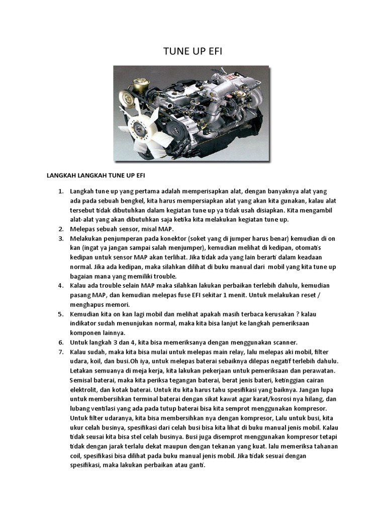 Tune Up Efi | PDF