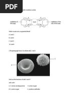 Level 2 Anatomy and Physiology 50 Mock Questions + Answers | PDF ...