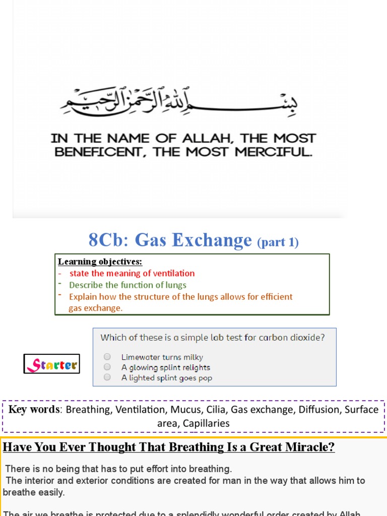 8Cb Gas Exchange (Part 1) | PDF | Breathing | Lung