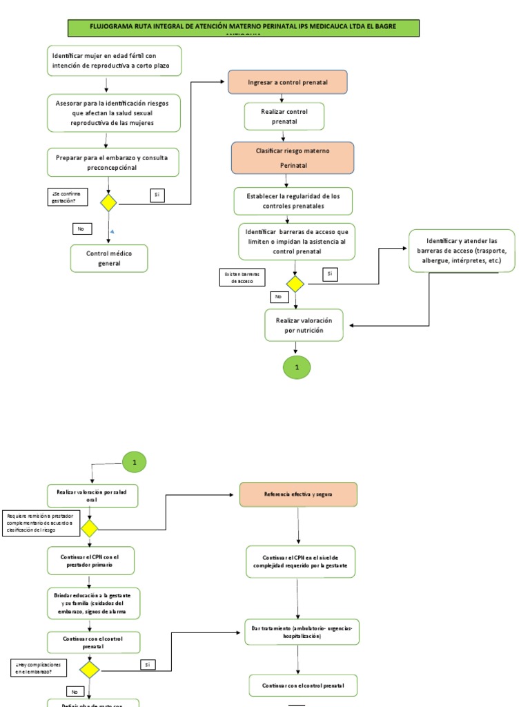 Ruta Integral de Atencion Materno Perinatal | PDF | Muerte materna | El embarazo