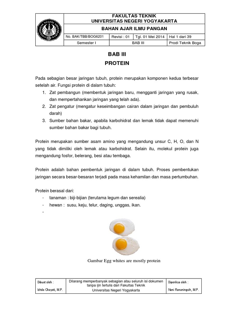 Handout Protein | PDF