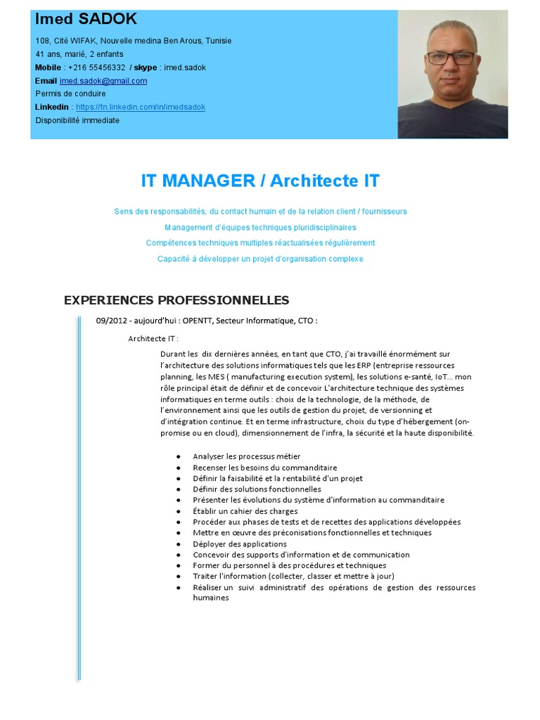 CV Imed Sadok-Compressé | PDF | Application | Système d'information