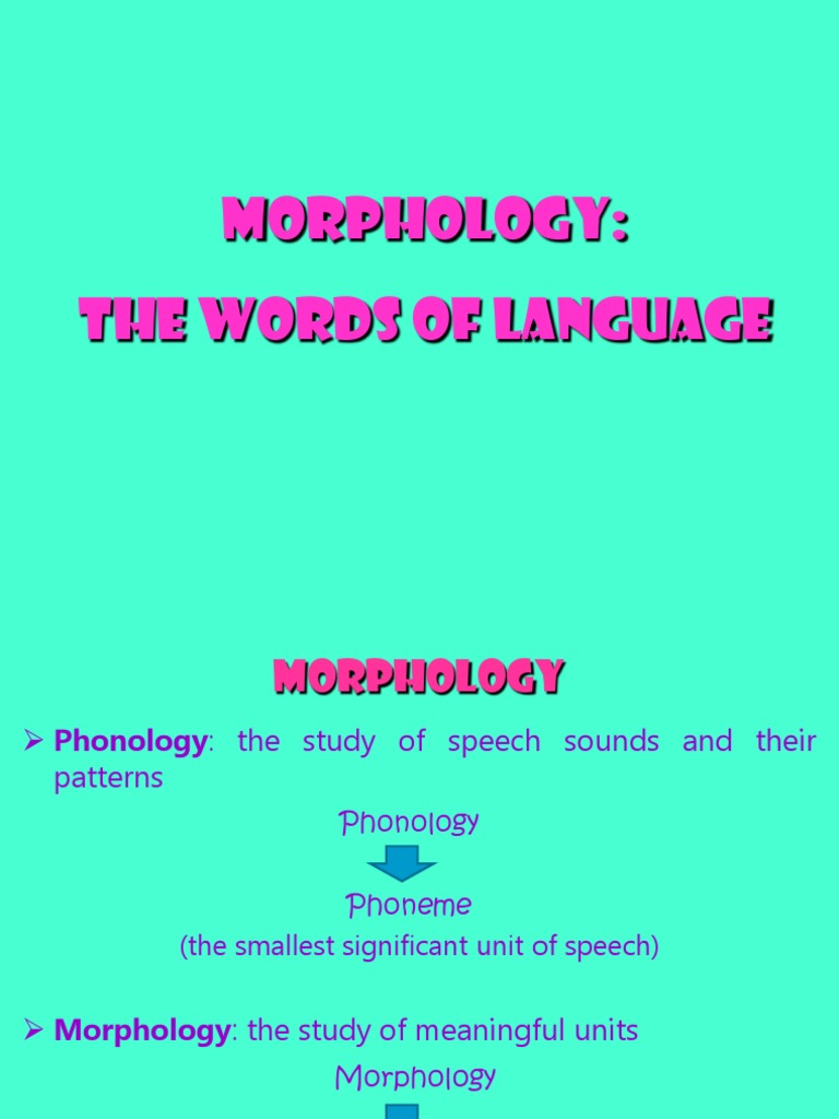 Morphology: The Words of Language | PDF | Morphology (Linguistics) | Word
