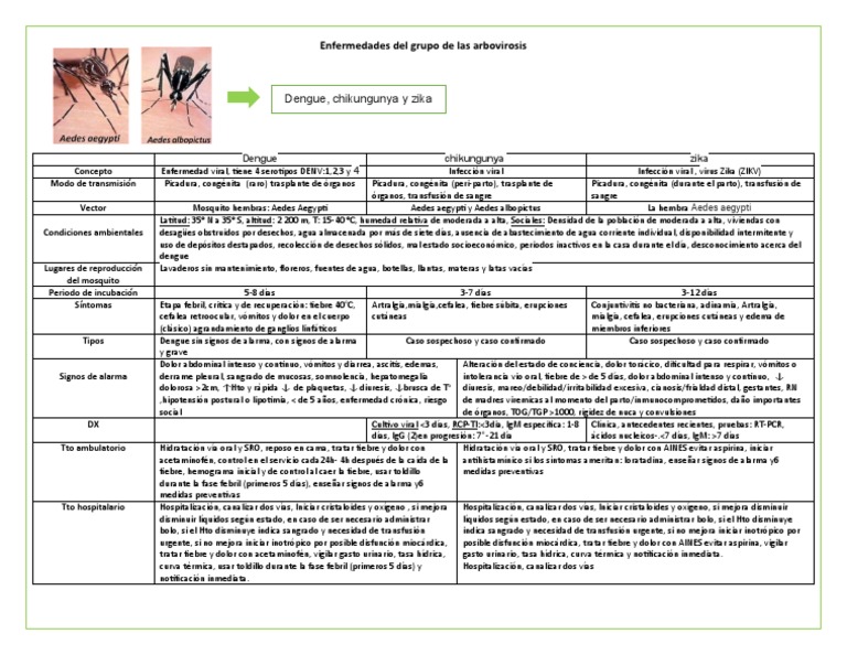 Mapa de Dengue | PDF | Fiebre del zika | Medicina CLINICA