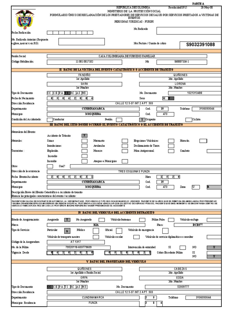Furips Formato | PDF