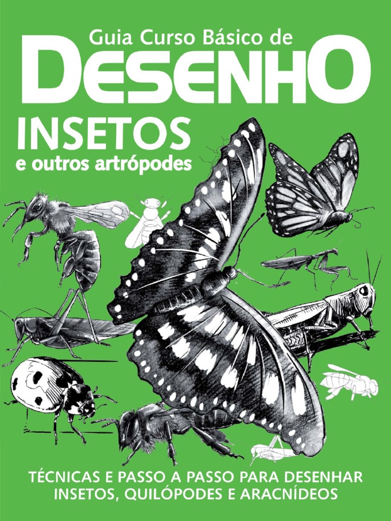 Curso Básico de Desenho Insetos Ed1 | PDF
