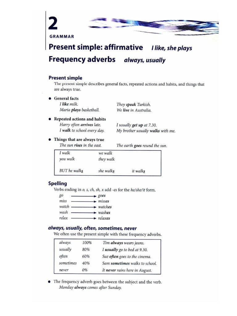 Present Simple | PDF