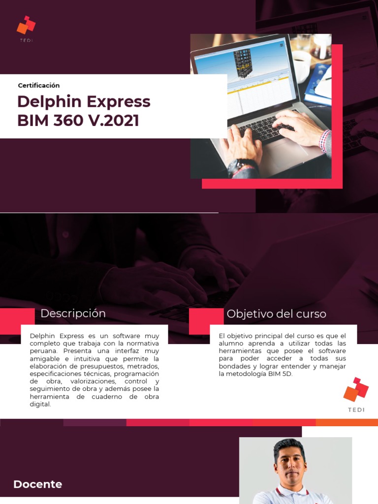 Delphin Express - Brochure Julio | PDF | Software | Presupuesto