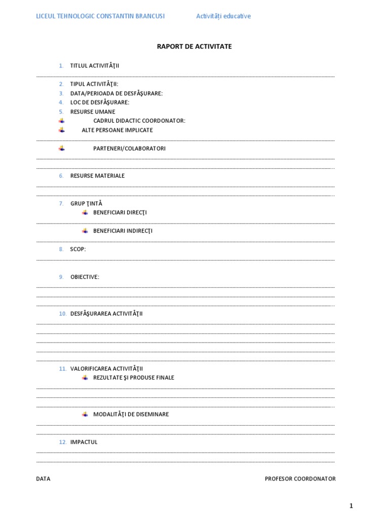 Raport de Activitate Model de Completat | PDF