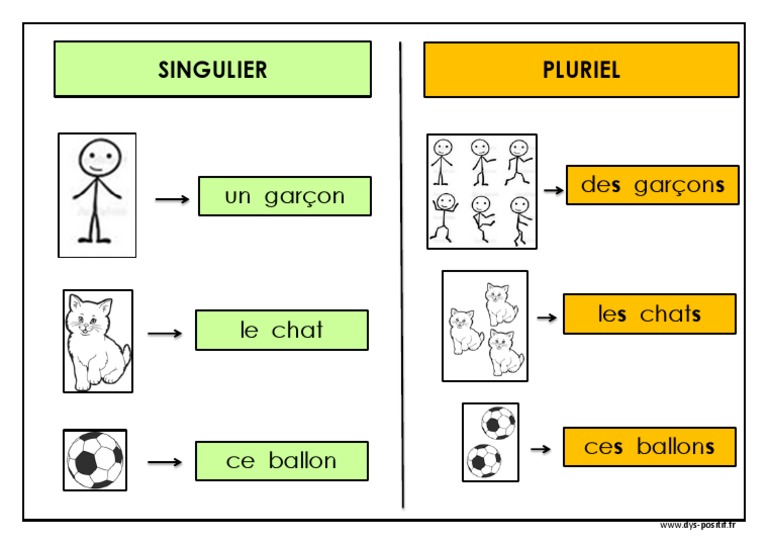 Singulier Pluriel Ce1 Carte Mentale DYS | PDF
