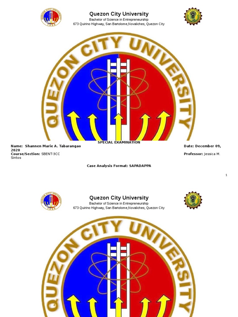 SAPADAPPA Case Study: BlueChief Analysis | PDF | Entrepreneurship ...