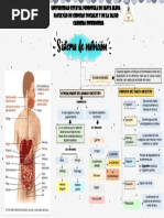Funcionamiento del SINAVE en México | PDF | Epidemiología ...