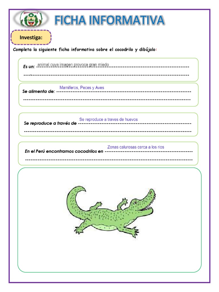 Ficha Informativa | PDF