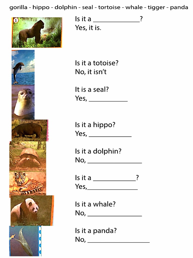 All About Us 3 Unit 1 | PDF