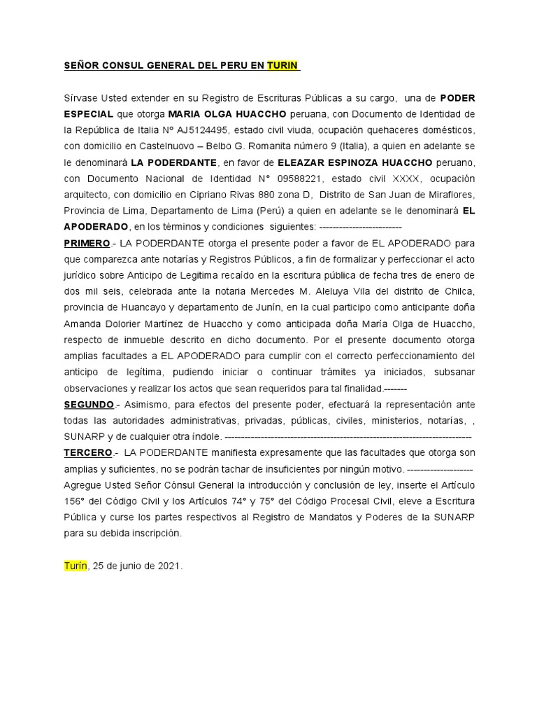 Poder Especial Consulado | PDF
