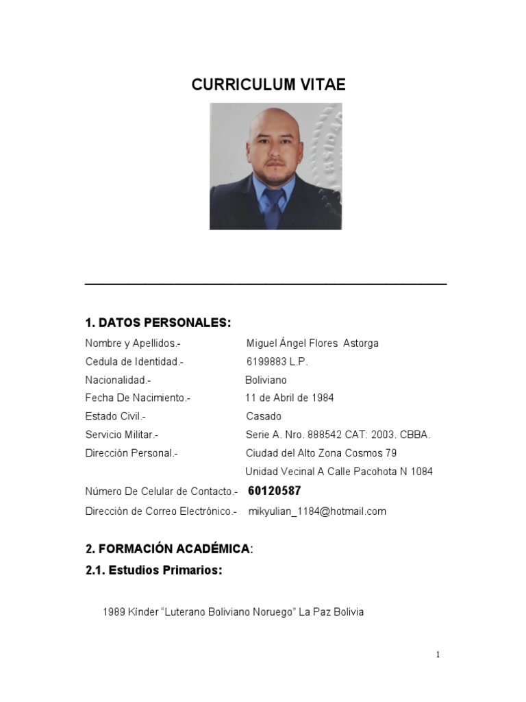 Curriculum Vitae - Miguel (Final) | PDF | Informática | Software