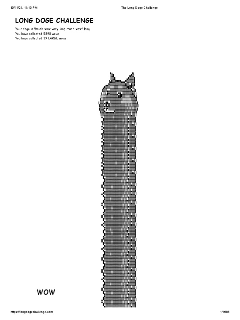 The Long Doge Challenge | PDF