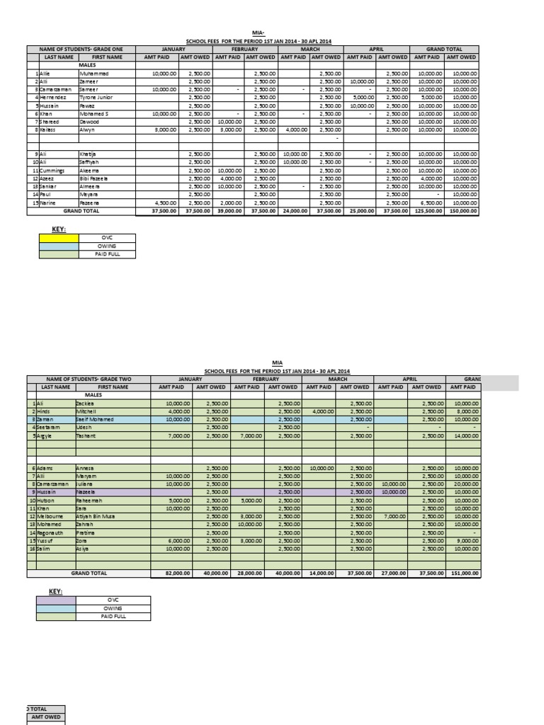 MIA School Fees Template | PDF