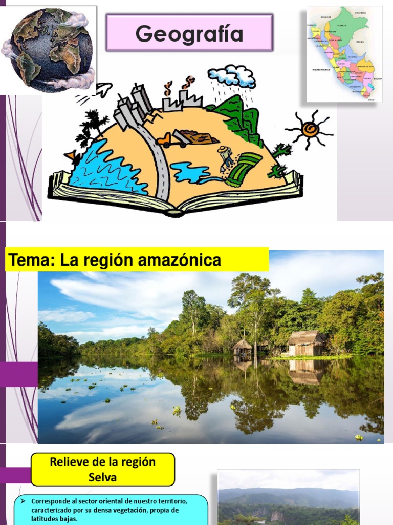 7mo relieve amazónico geog | PDF | Geografía Física | Geomorfología