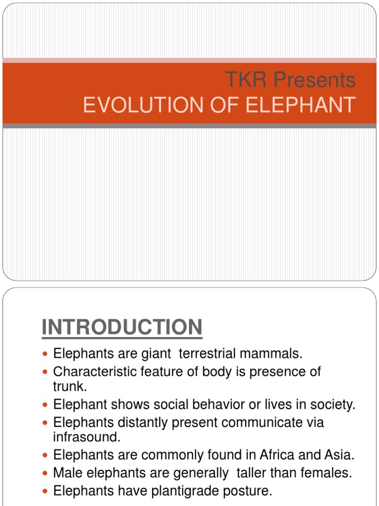 Evolution of Elephant 1 | Download Free PDF | Elephant
