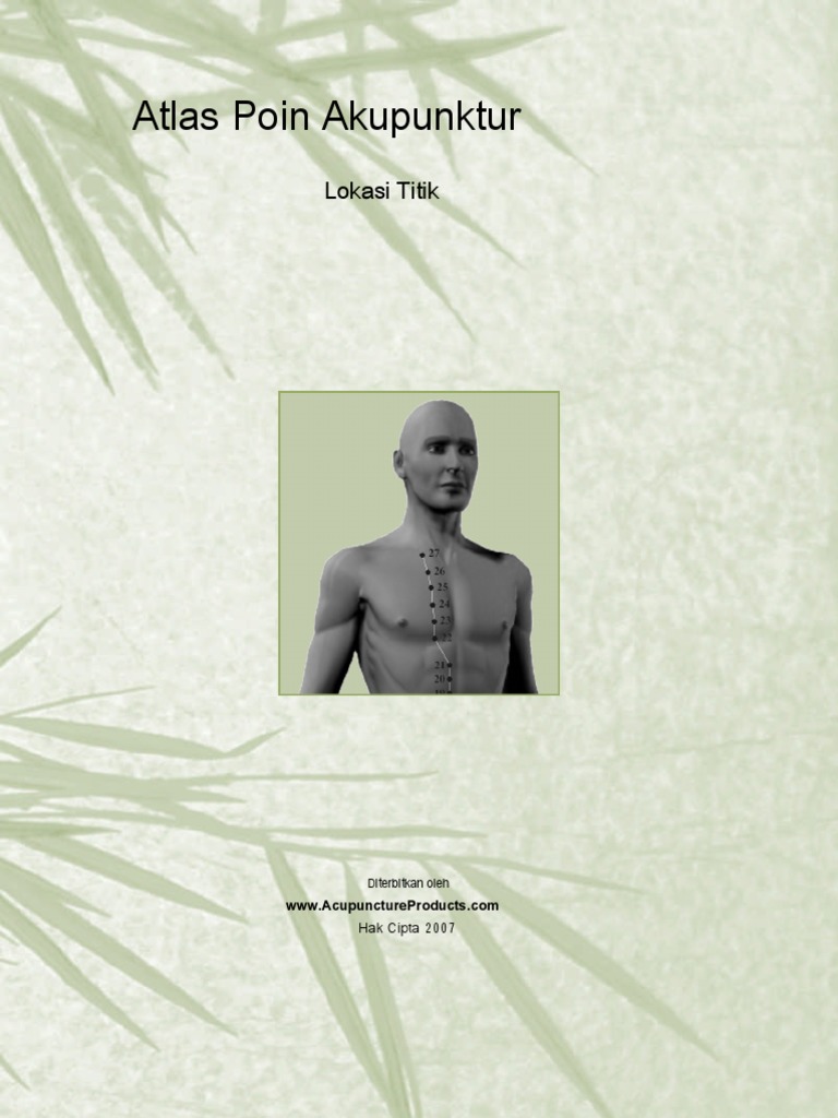 Acupoint Meridian | PDF