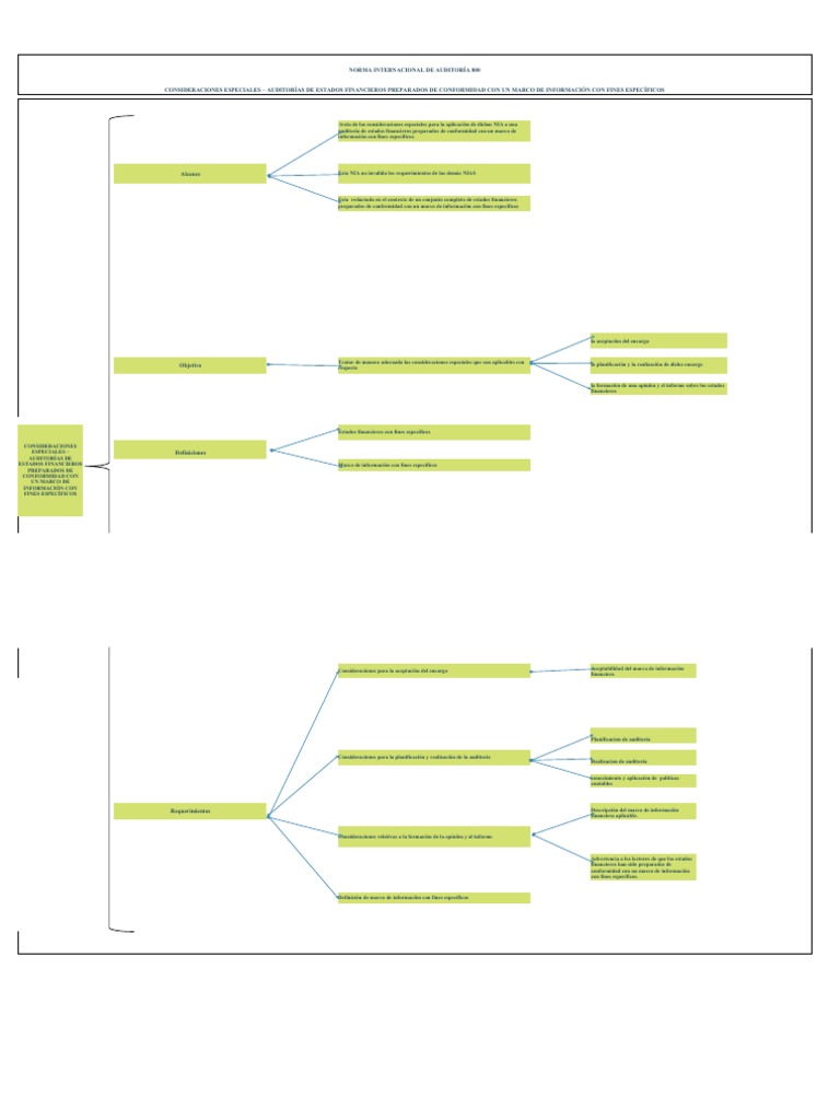 Mapa Conceptual NIA 800 | PDF | Auditoría | Estado financiero