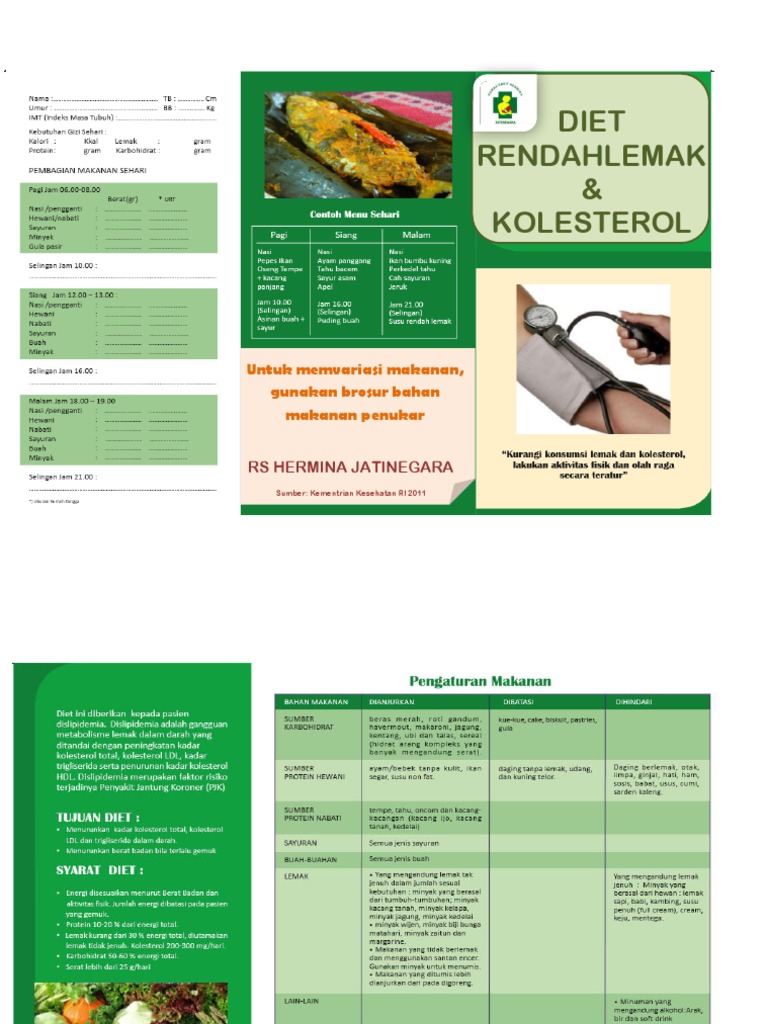 Diet Rendah Lemak Dan Kolesterol | PDF
