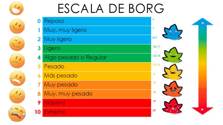 Escala De Borg 6 20 Clasificación De Esfuerzo Pdf
