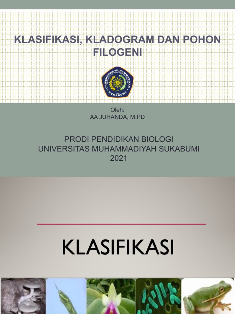 AaJuhanda - Klasifikasi, Kladogram Dan Pohon Filogeni | PDF