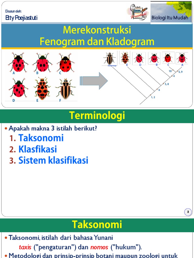 Rekonstruksi Fenogram - Kladogram - Fotosintesis - 3 | PDF