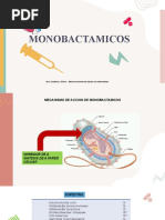 Braxigort - PLM | PDF