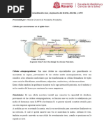 Modelo Rothman | PDF | Causalidad | Ciencias de la Salud