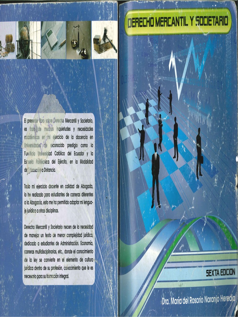 Libro Derecho Mercantil y Societario | PDF