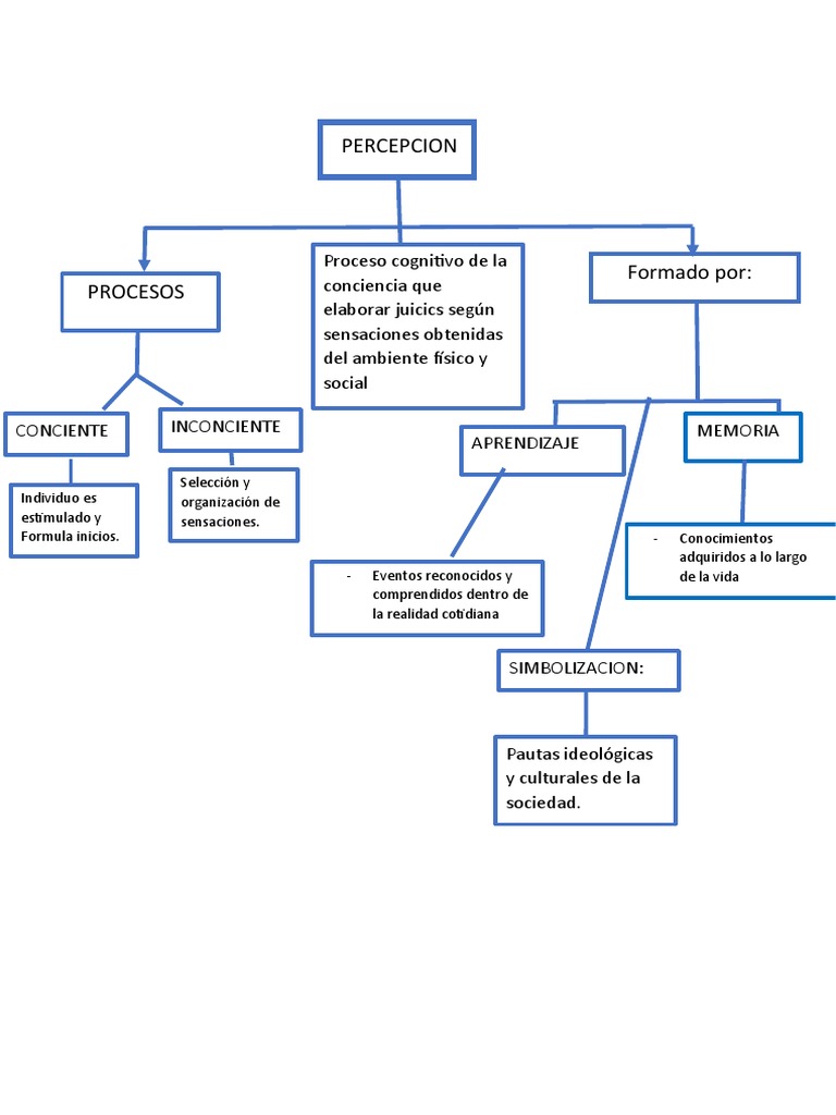Mapa Concep Percecpcion | PDF