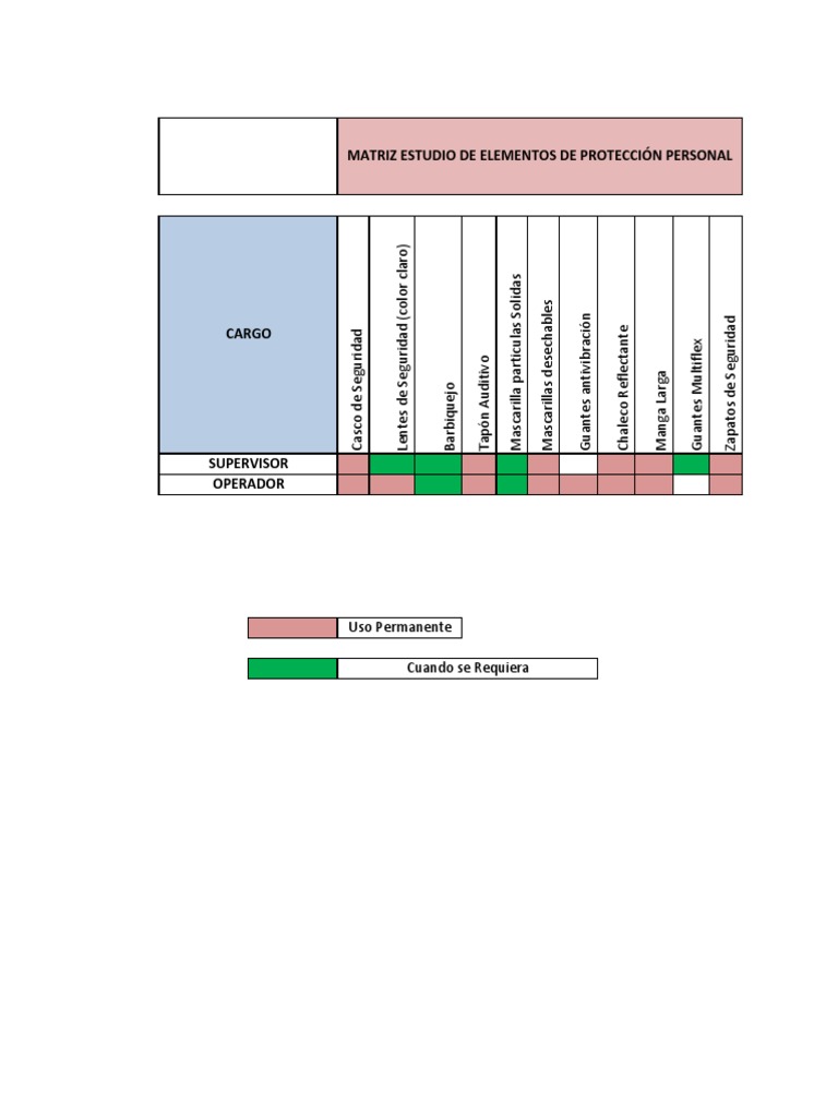 Matriz de Estudio de Epp Por Cargo TRANSPORTES | PDF