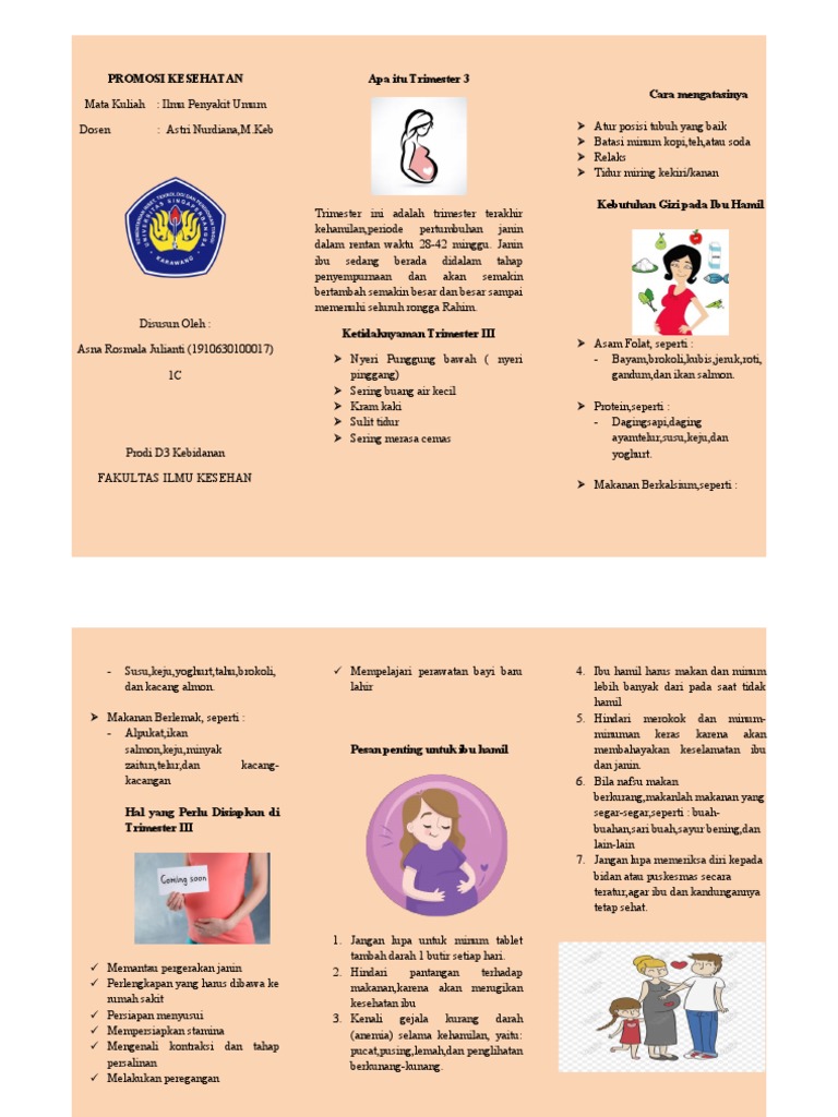 Leaflet Promosi Kesehatan | PDF