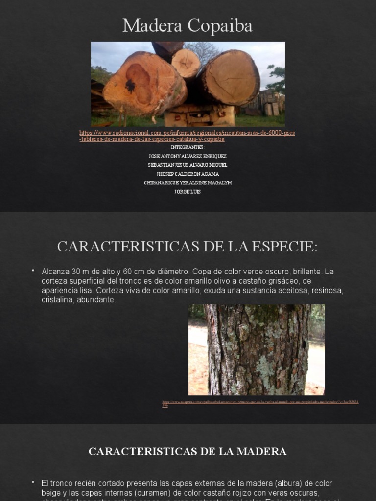 Madera Copaiba | PDF | Madera | Productos de madera