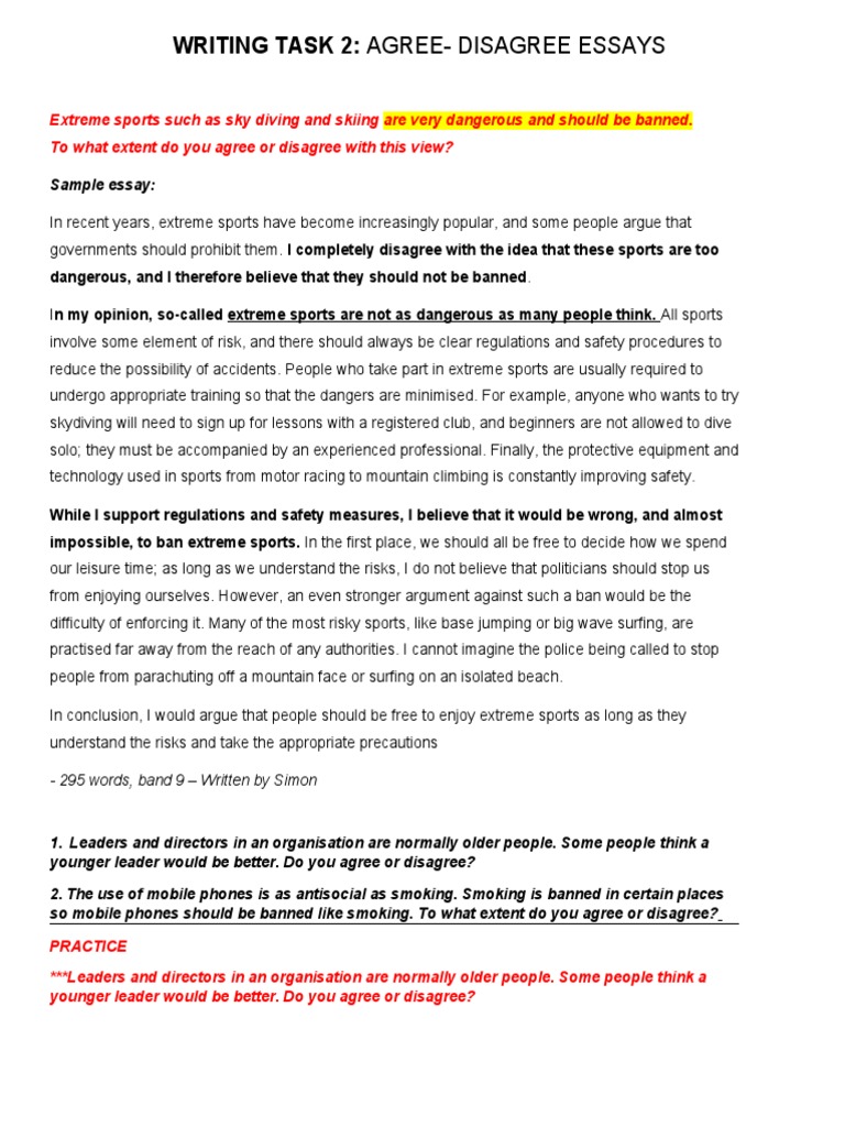 A New Writing U8 Agree Disagree | PDF