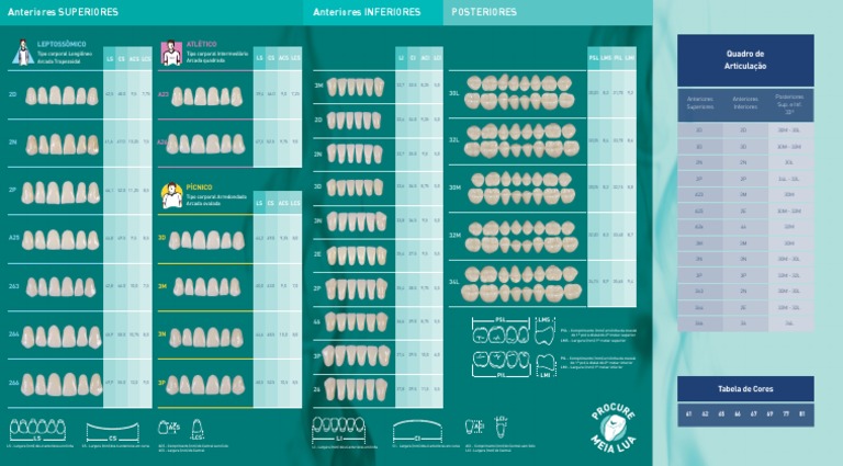 Catálogo BIOTONE | PDF