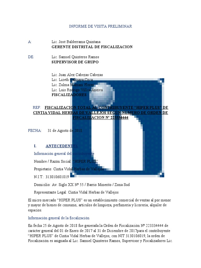 Informe de Visita Preliminar | PDF | Auditoría | Business