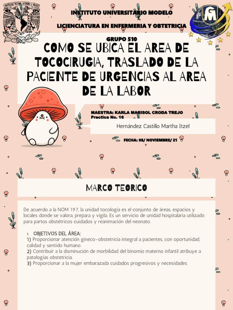 Areas Toco #16 | PDF | Parto | Cirugía
