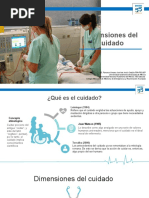 Dimensiones del Cuidado en Salud | PDF | Enfermería