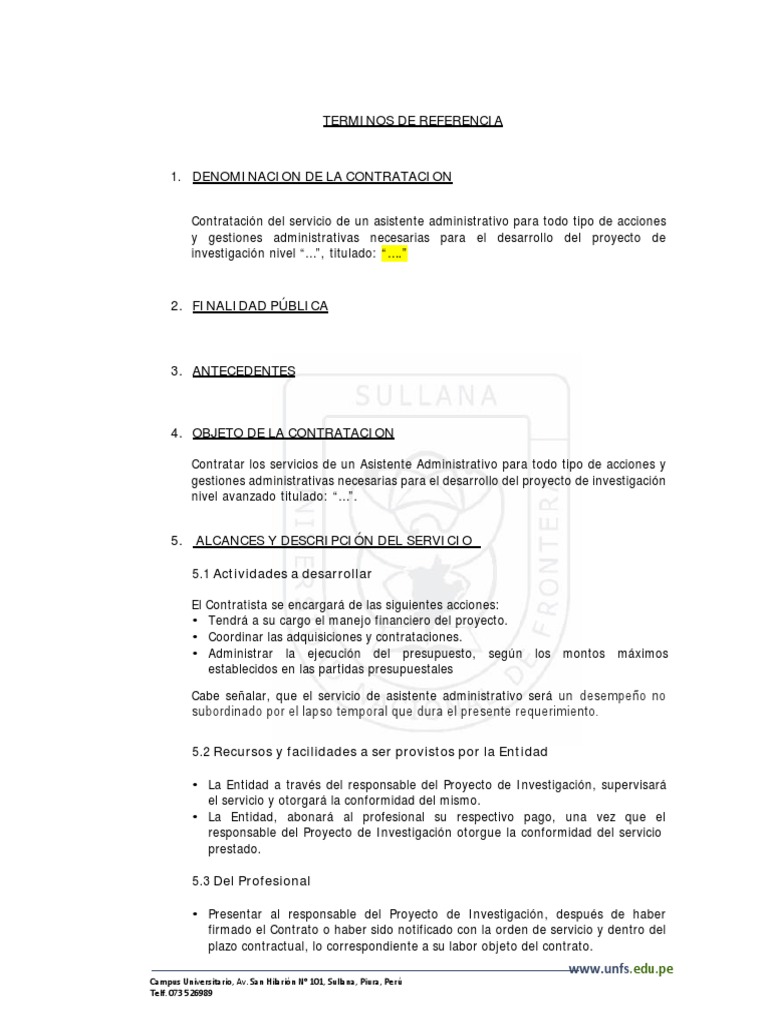 Modelo de TDR | PDF | Economias