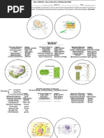 The Structure of Skeletal Muscle (6.3.2) AQA A Level Biology Revision ...