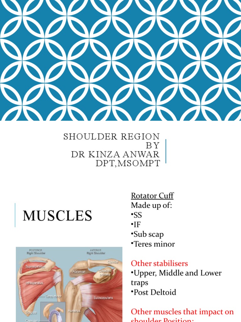 Rotator Cuff Impingement Tests | PDF | Shoulder | Anatomical Terms Of ...