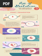 Reva Rubin Maternal Role Attainment Theory | PDF | Fetus | Pregnancy