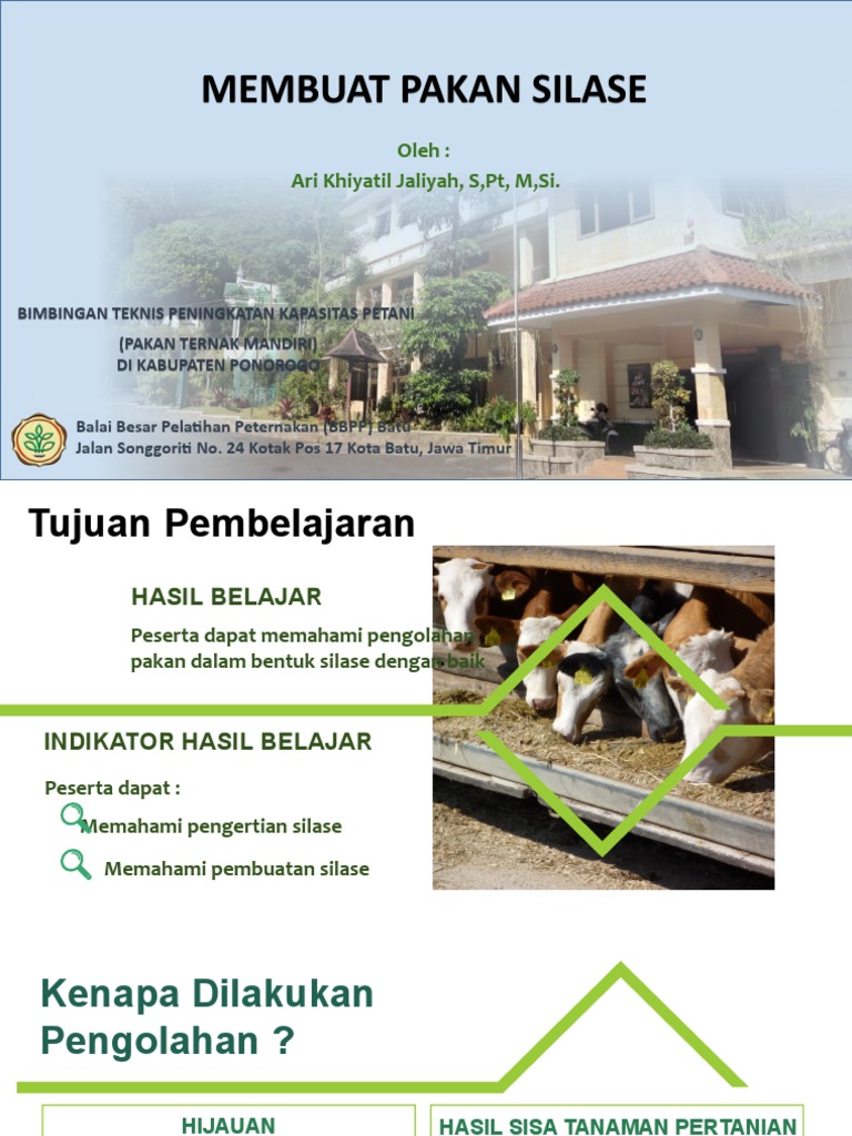Pakan Silase | PDF